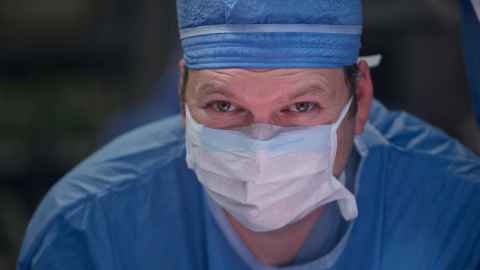 Simon Talbot: out on a limb - The University of Auckland