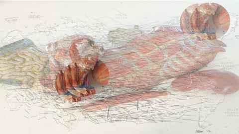 Alys Longley's creative ways to fill a vacuum - The University of Auckland