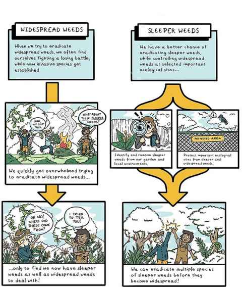 Comic genius: from research to cartoons - The University of Auckland