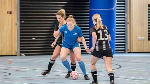 National Tertiary Schedule - The University of Auckland