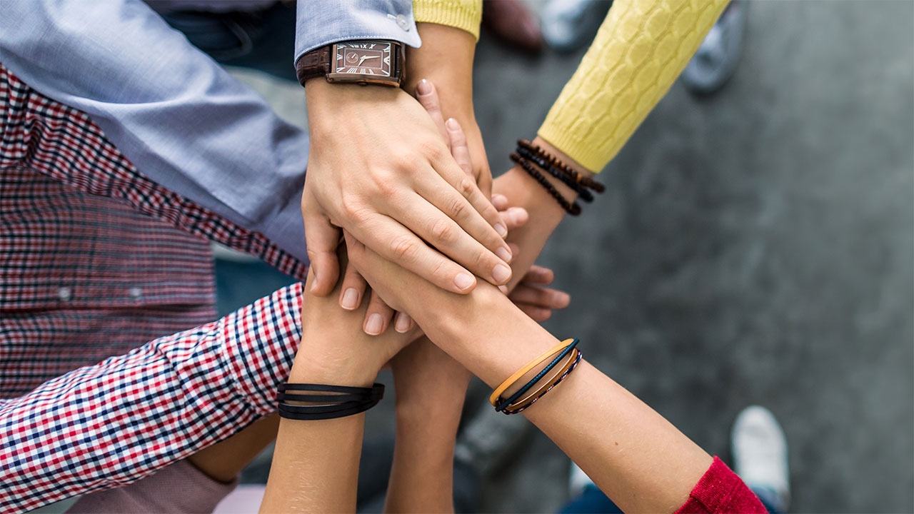 Info Evening - The University of Auckland